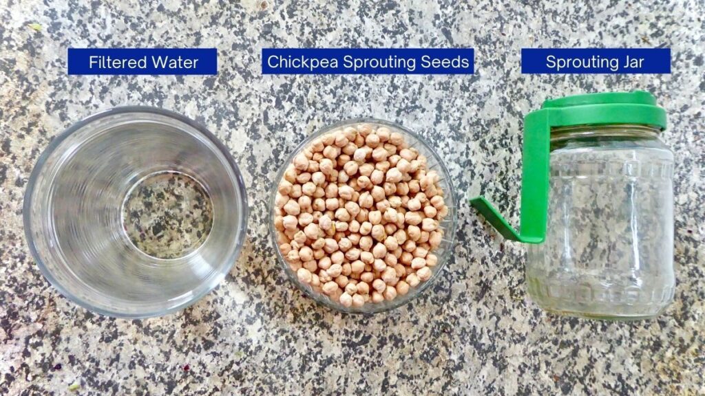 How to Sprout Chickpeas (Step By Step Guide) - LB Health & Lifestyle