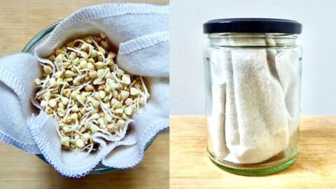 How To Sprout Buckwheat (+Benefits & Nutrition) - LB Health & Lifestyle